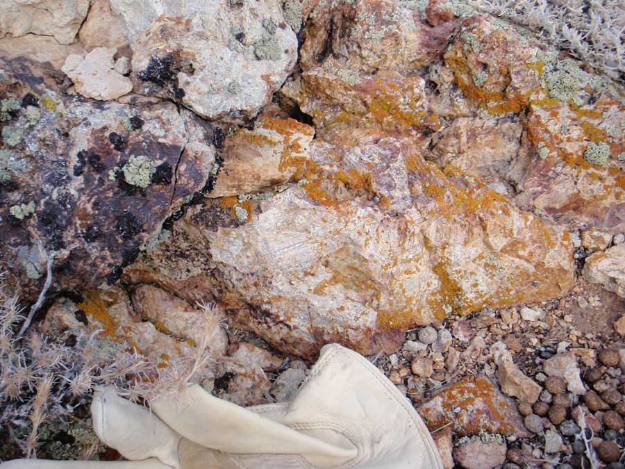 Photo Gallery | West Vault Mining